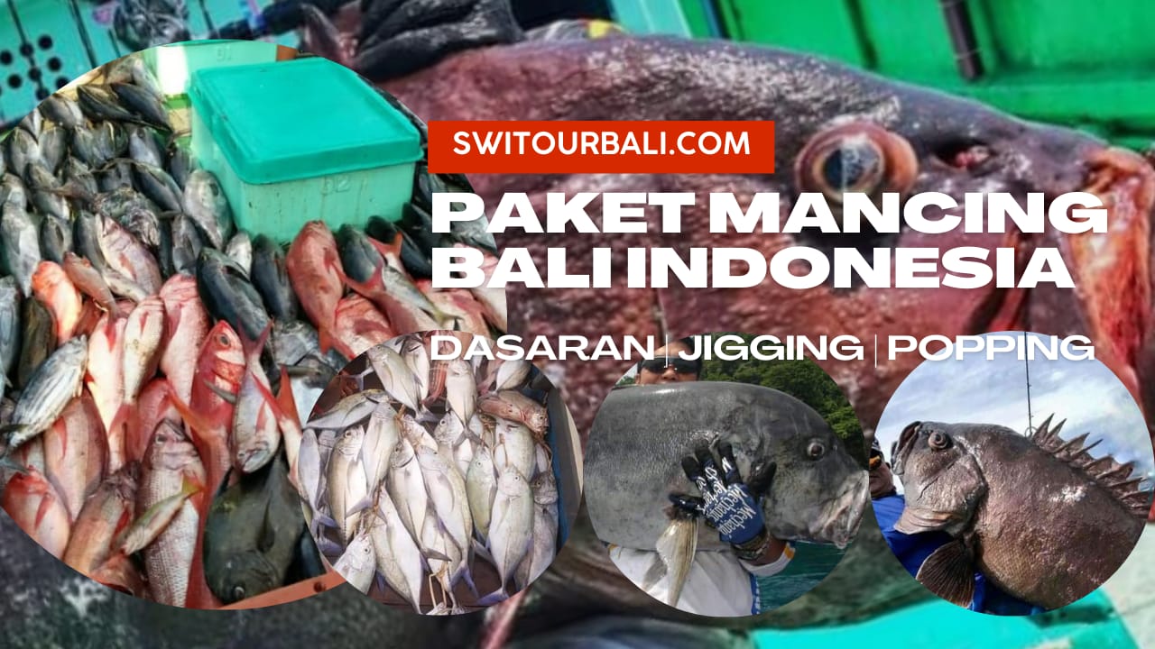 Paket Mancing Bali - SWI Tour Bali